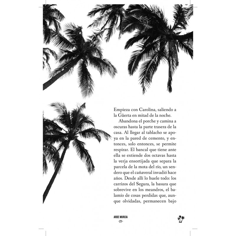 Arde Murcia, de J. M. Sala