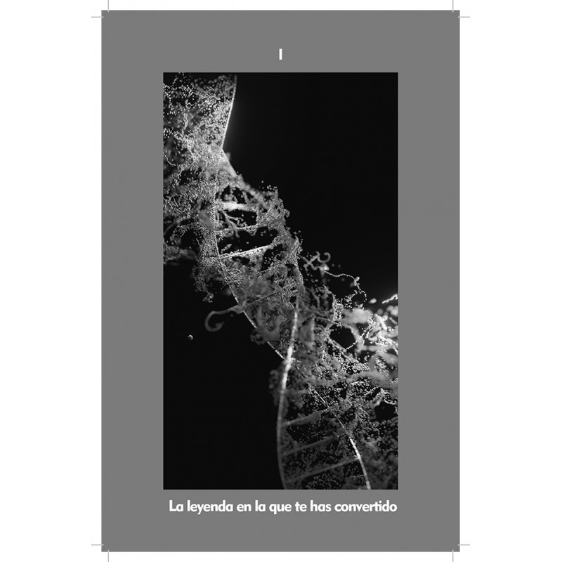 La desintegración de lo relativo, de Kurt Fawver